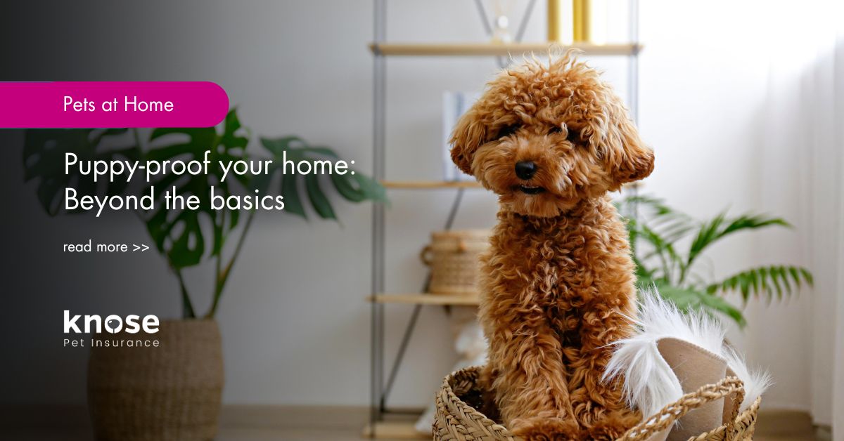 Puppy-Proof Your Home: Beyond the Basics | Knose