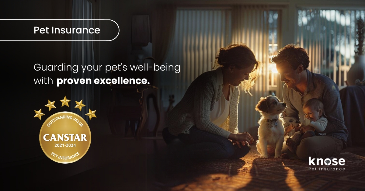 Knose wins 4th Canstar Pet Insurance Award