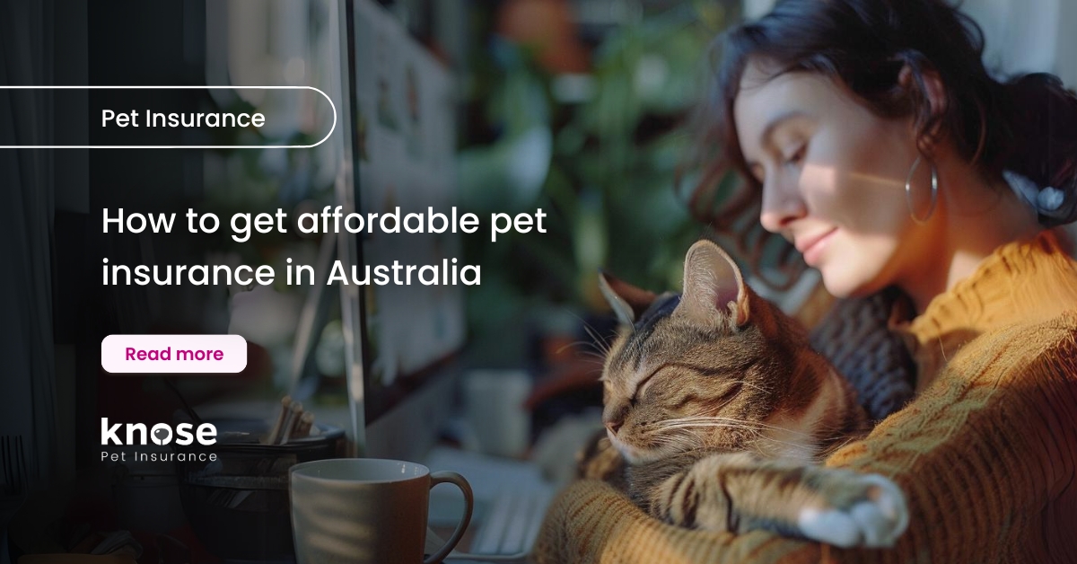 How to Get Affordable Pet Insurance in Australia | Knose