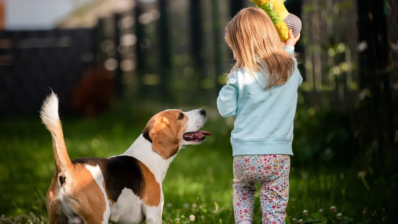 Award-Winning Pet Insurance by Knose Pet Insurance | Australia