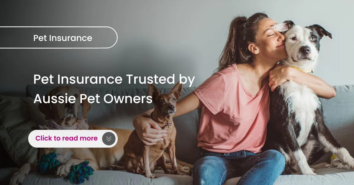The Trusted Pet Insurance for Australian Pet Owners | Knose