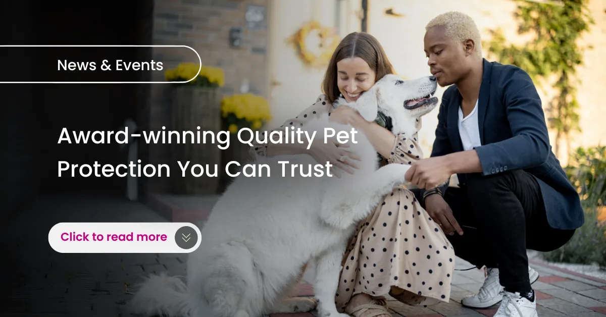 Award-winning Quality Pet Protection You Can Trust | Knose