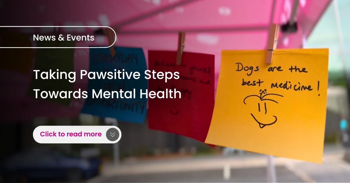 Taking Pawsitive Steps Towards Mental Health | Knose