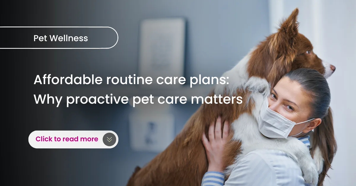 Affordable routine care plans: Why proactive pet care matters | Knose