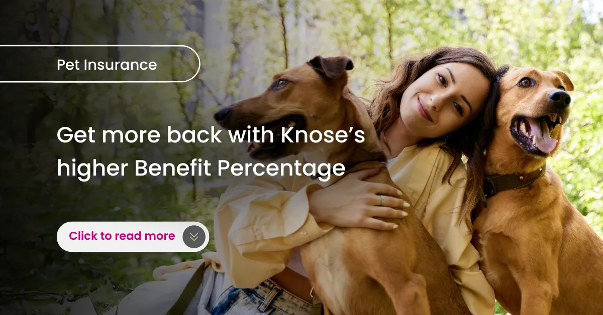 What is Benefit Percentage in Pet Insurance? | Knose