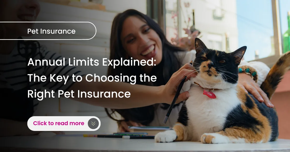 Annual Limits in Pet Insurance Explained [INFOGRAPHIC]