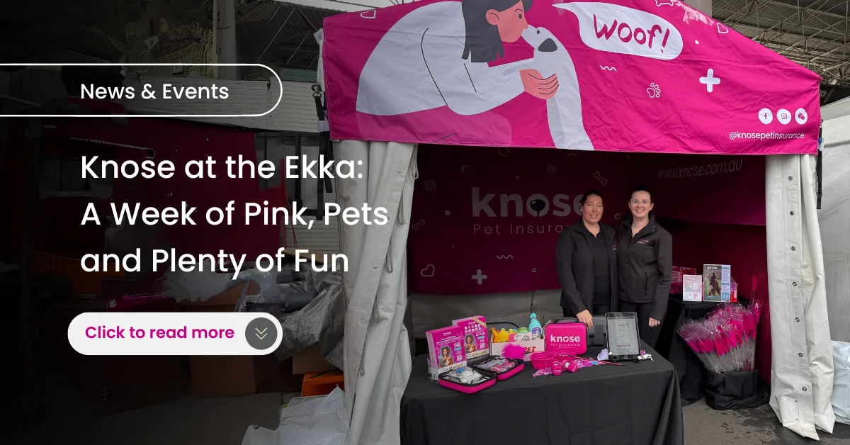 Knose at the Ekka: A Week of Pink, Pets and Plenty of Fun