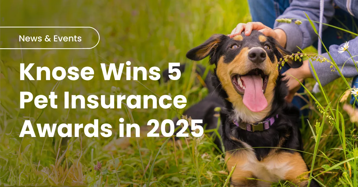 Knose Wins 5 Pet Insurance Awards in 2025 | Knose