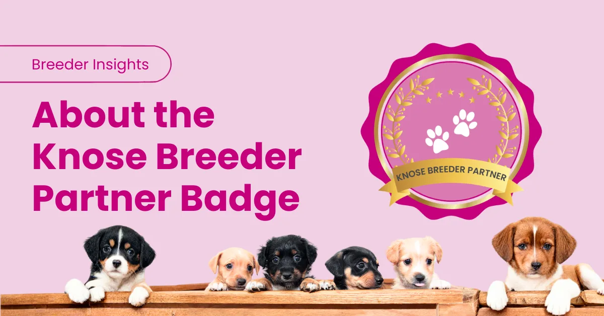 What Does the Knose Breeder Partner Badge Really Mean? | Knose