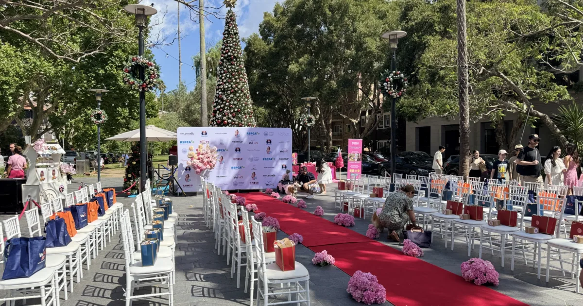 The BIGGEST Dog Fashion Show in Australia 2025 | Knose